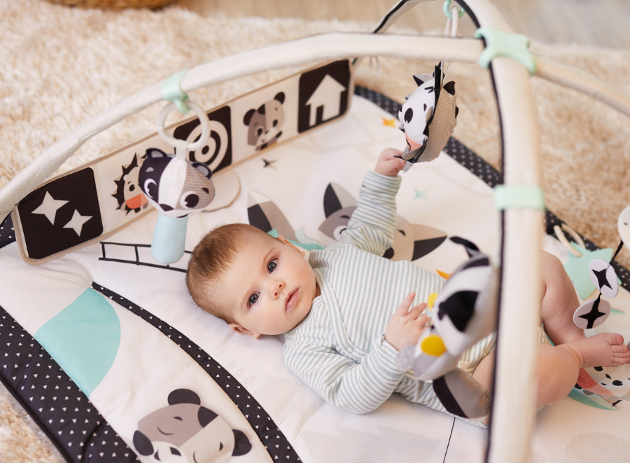 Black and White Visual Aids for Newborns – Nature to Nurture