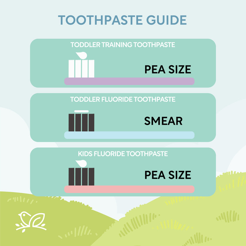 Nature to Nurture Toddler Training Gel Toothpaste, 3months to 2years 5